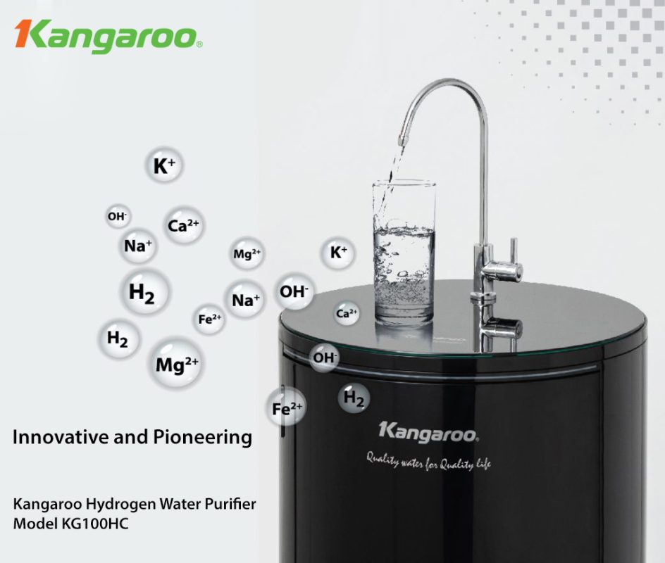 Hydrogen RO Water Purifier-Vietnam - Best Water Engineering